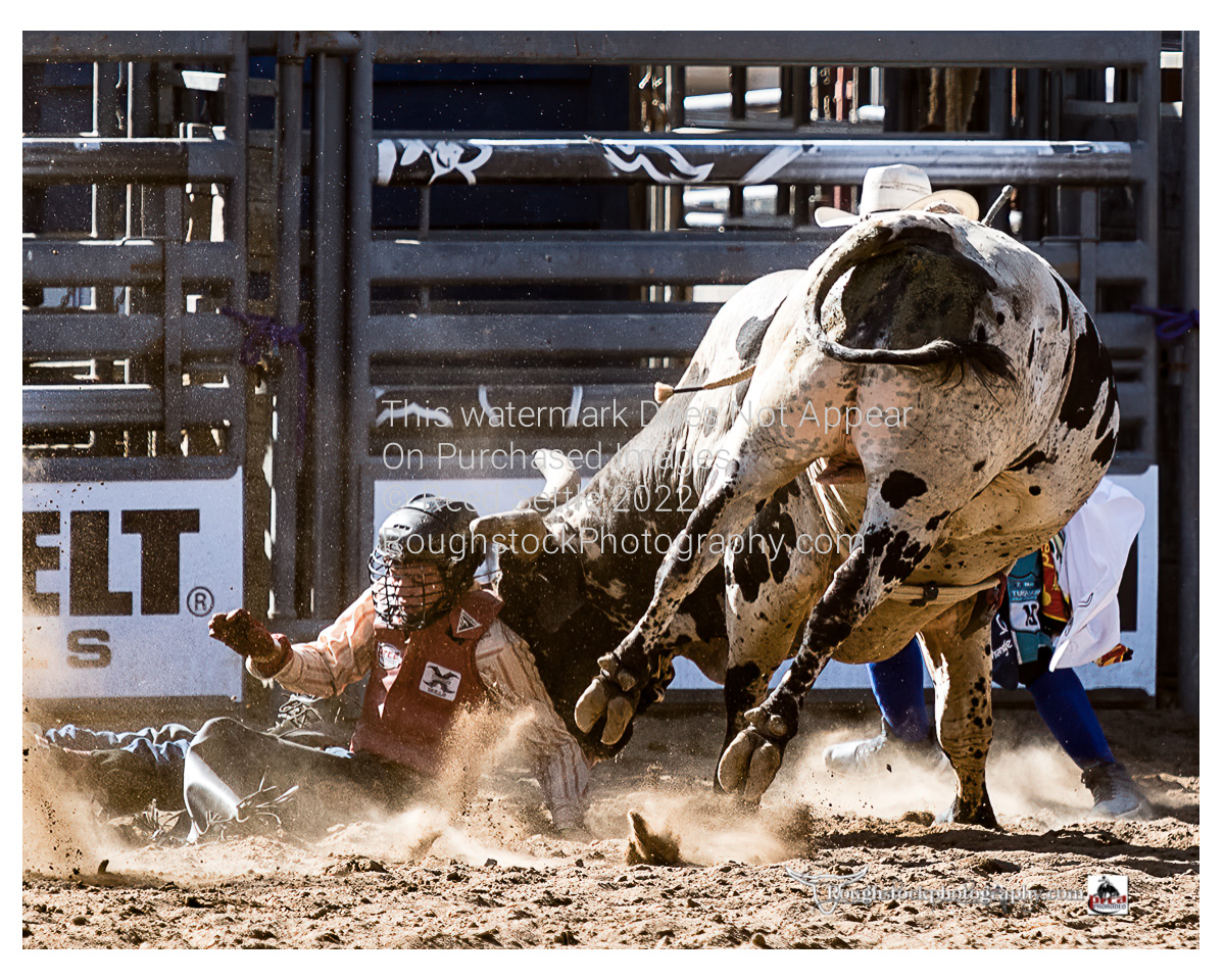 Rodeo/Event - 2022 - Poway PRCA - Perf 2 - roughstockphotography.com
